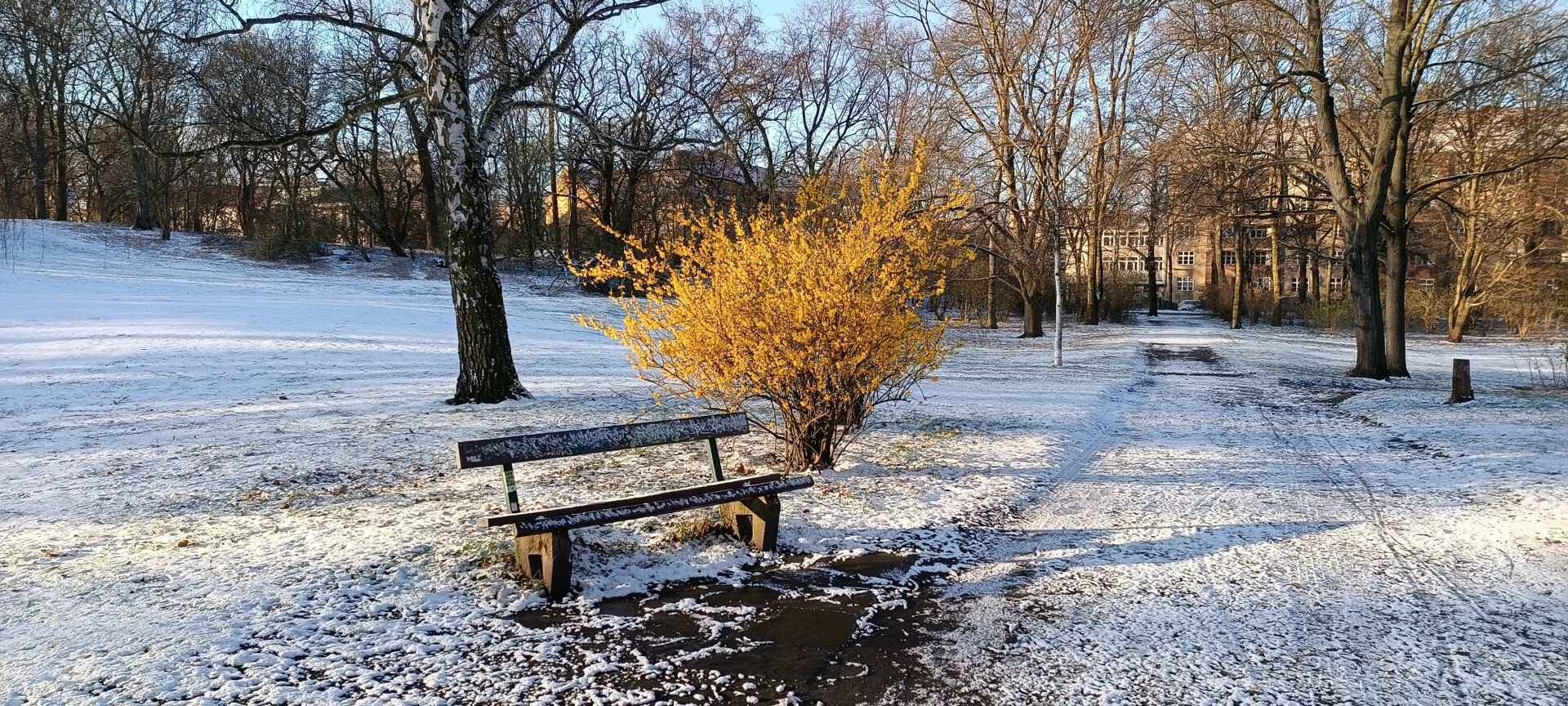 Tanzen in Temmen & Forsythien im Schnee – Freude Zeit Leben